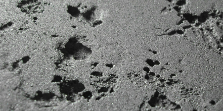 Why does stainless steel corrode when it’s supposed to be stainless ...